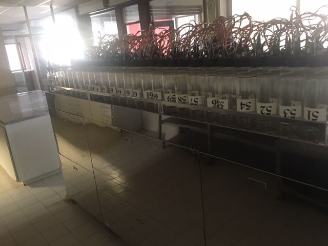 DATACOLOR Laboratory Dispenser Autolab 108