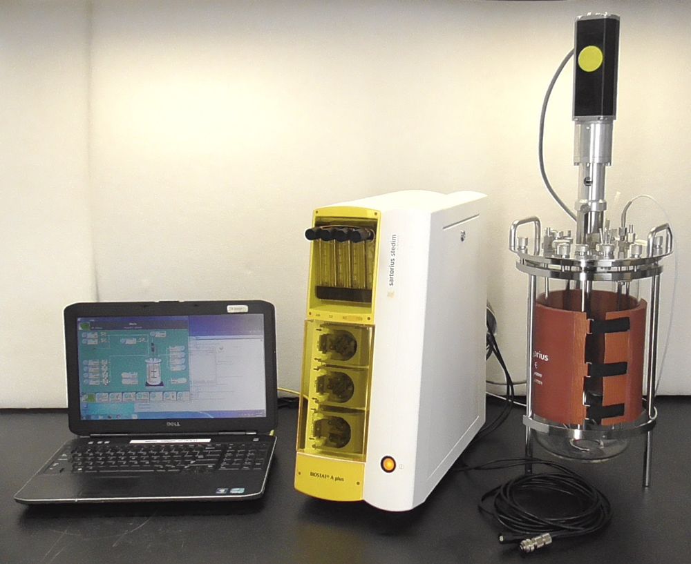 Sartorius Biostat A Plus Bioreactor