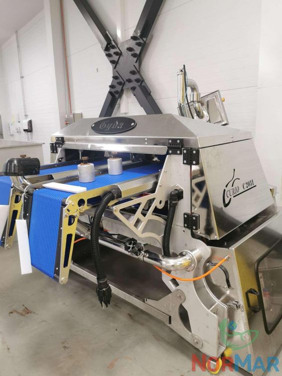 Curio c2031 Skinning machine