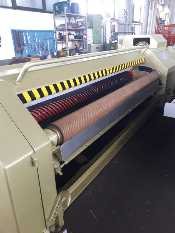 Rizzi SG6 Fleshing machine