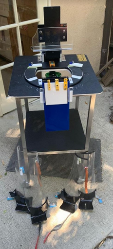 Pigg-O-Stat Child Immobilizer