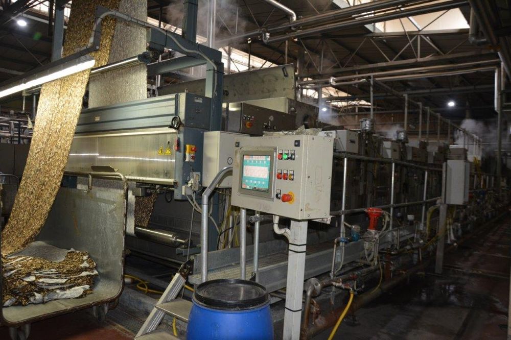 Arioli continuous washing machine