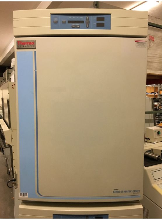 Thermo Fisher 3110 CO2 Incubator