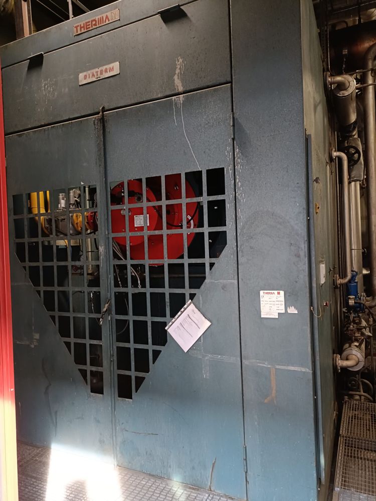 Therma boiler DTO 12000 diathermic oil