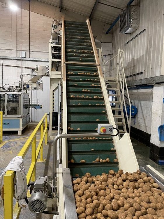 Italpack Pack 50-5 Potato Bagging Line