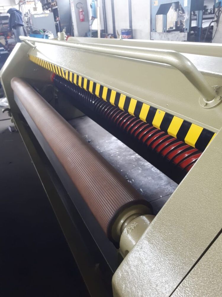 Rizzi SG6 Fleshing machine