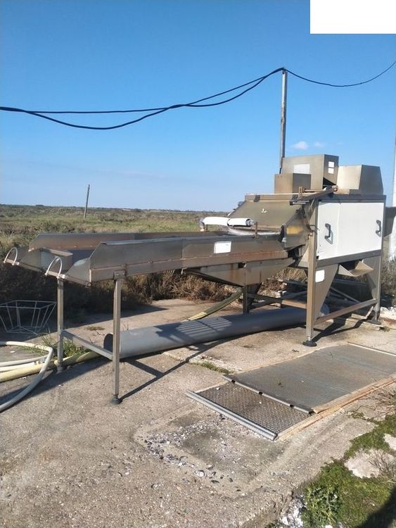 Mold washer and sizer