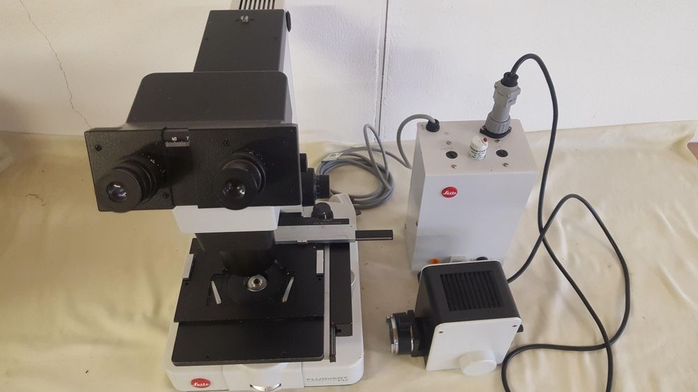 Leitz Fluovert Inverted Fluorescence Microscope