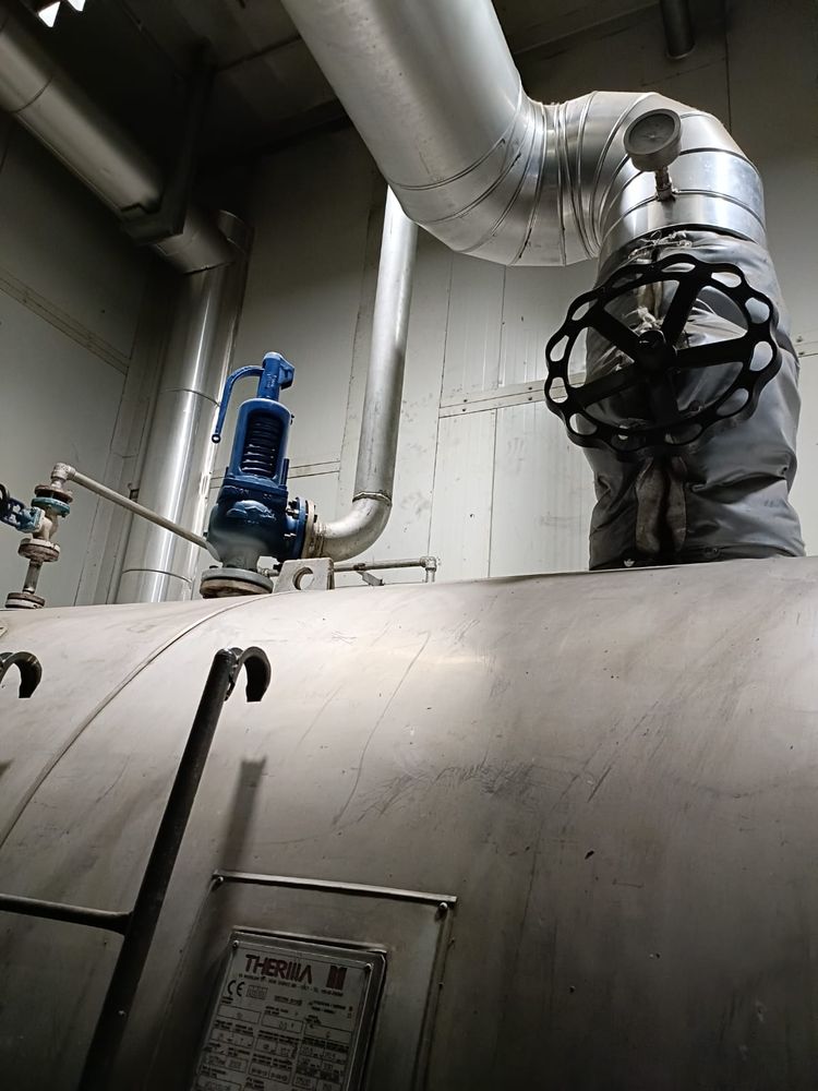 Therma boiler DTO 12000 diathermic oil