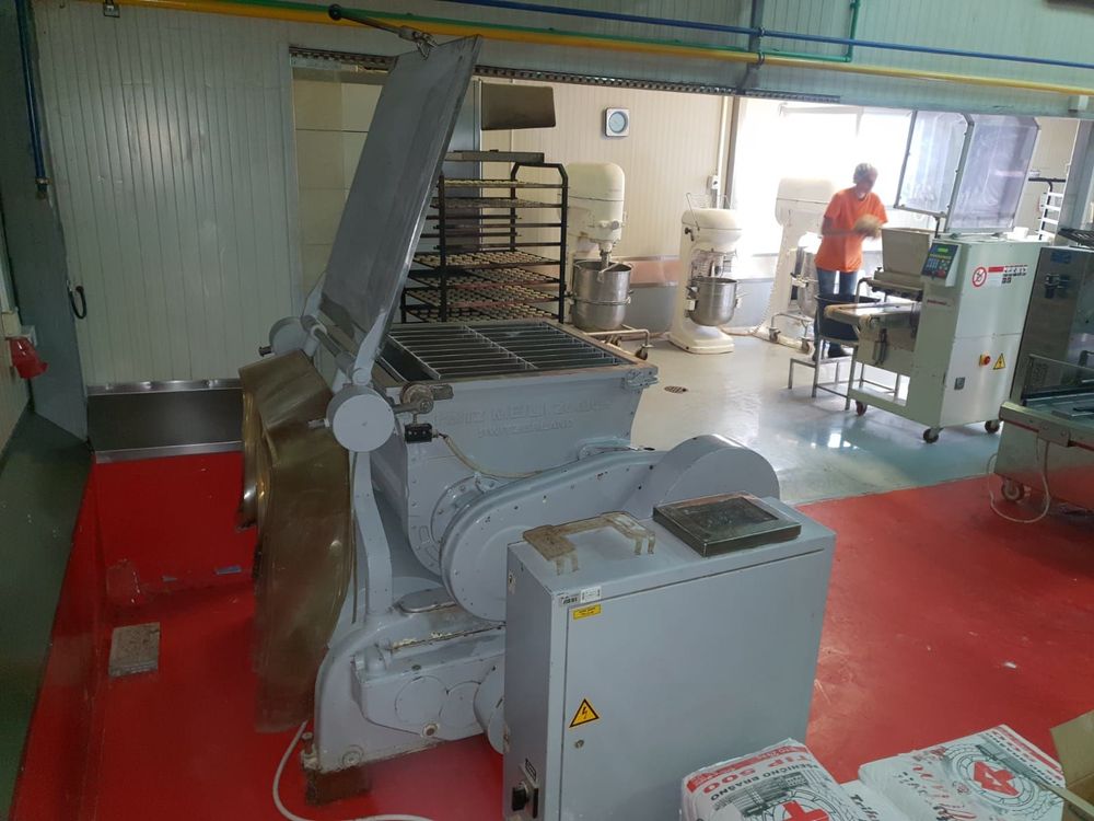 Fritz Meili Double Z Mixer