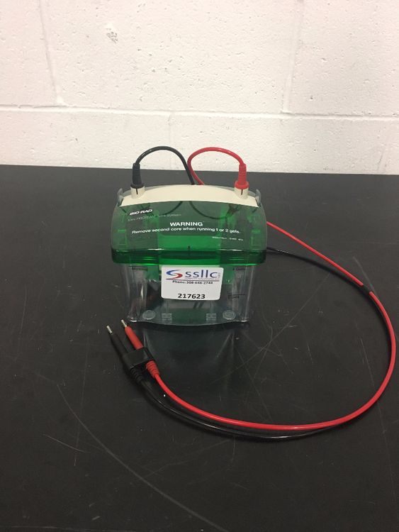 Bio-Rad Mini Protean Tetra Cell System