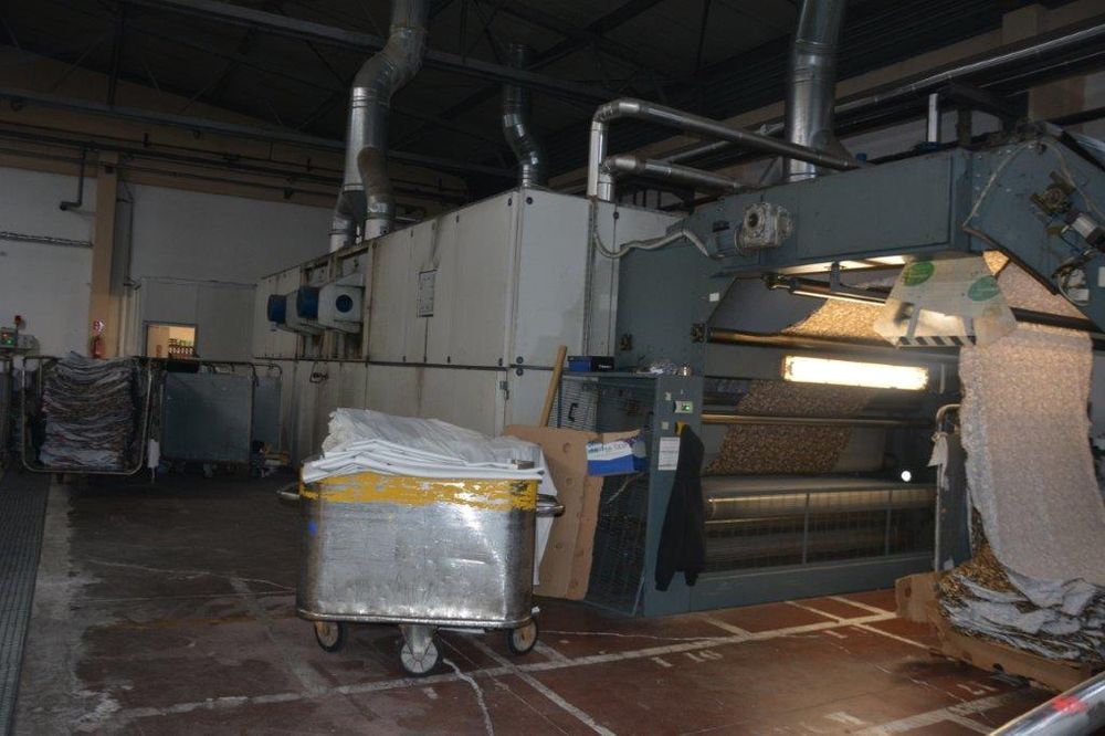 Arioli continuous washing machine