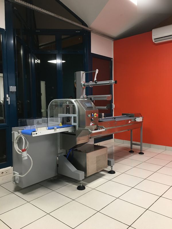 IPS FAR E Horizontal Flowpack bagging machine