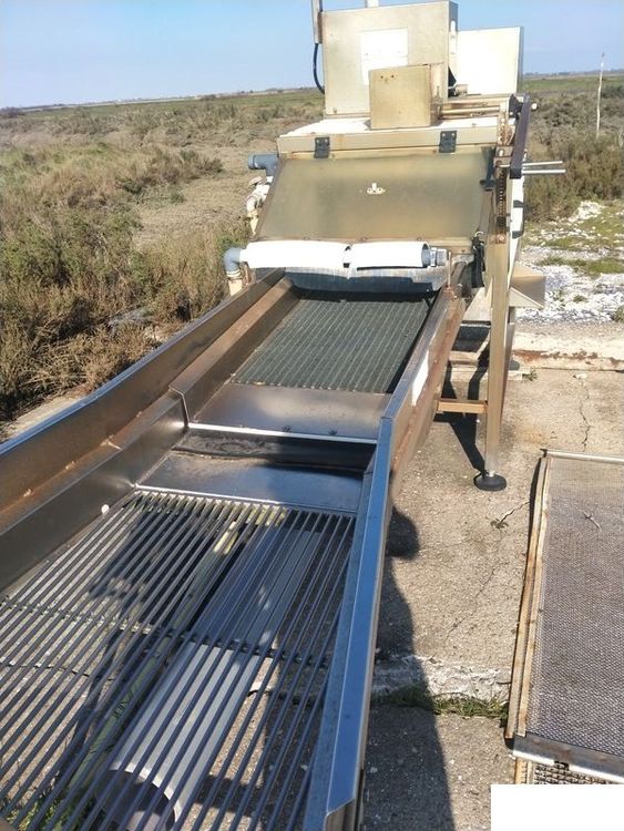 Mold washer and sizer