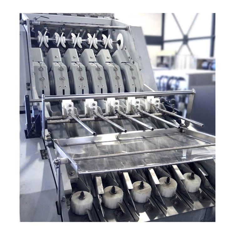 Baader 478 AUTOMATIC FEEDER + FILLETING MACHINE