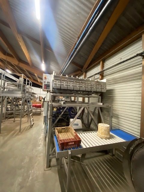 Intralox 3-channel stainless steel belt for bagging or tray packing