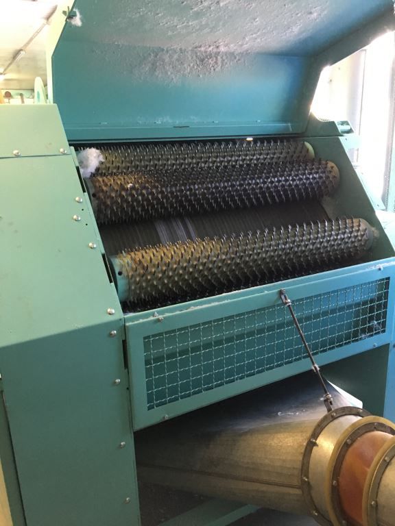 Temafa Carding Willow