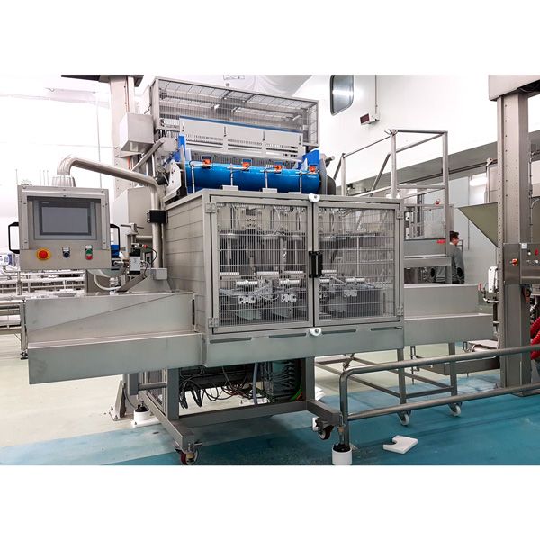 Fillpack 4 Head Bag Filler