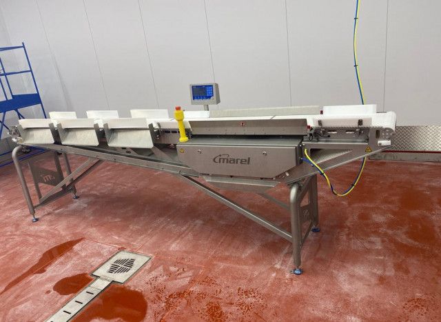 Marel CG62 Compact Grader