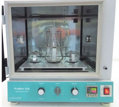 Labnet ProBlot 12S Hybridization/Orbital Shaking Oven