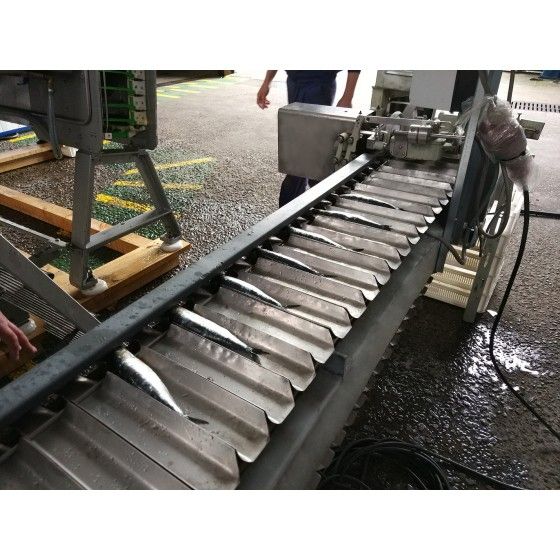 7 Arenco CIS GUTTING MACHINE