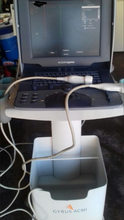 2 Siemens ACUSON CYPRESS PLUS V.20 CARDIOVASCULAR SYSTEM