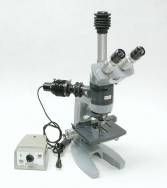 American Optical Series 10 Microscope with DIC Epi Illumination ...
