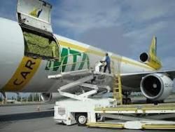 FMC Commander 15 Main Deck Loader