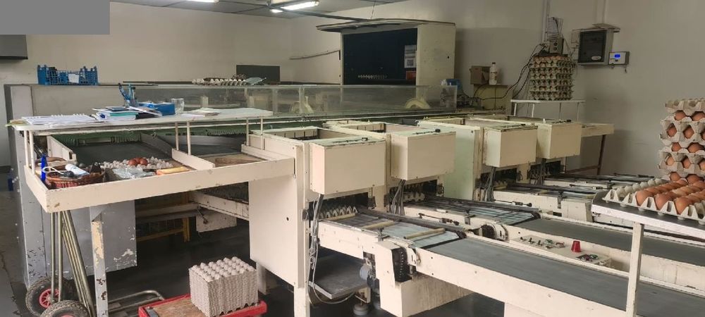 Egg grader + unloading table