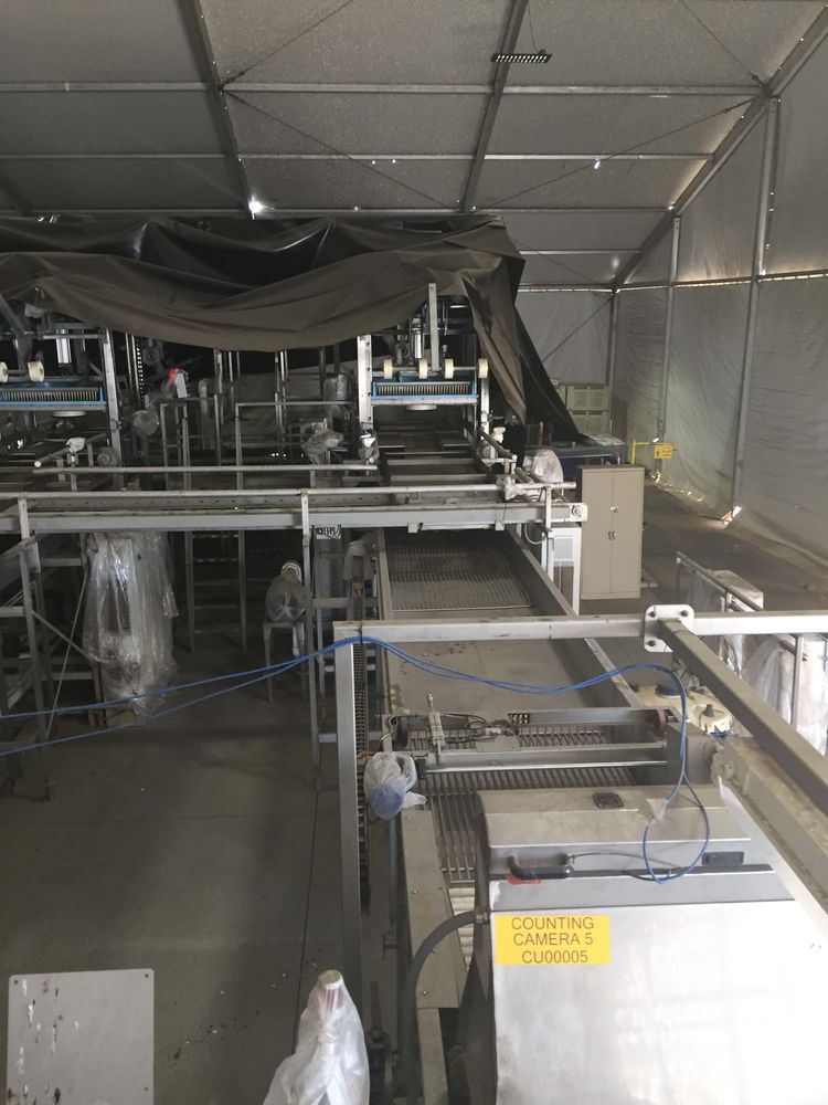 Fruit sorting system, 3 packing seasons, four (4) bins/ mn, Year 2012!