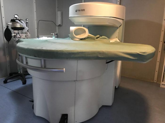 Esaote Vet-MR 0.2T MRI machine