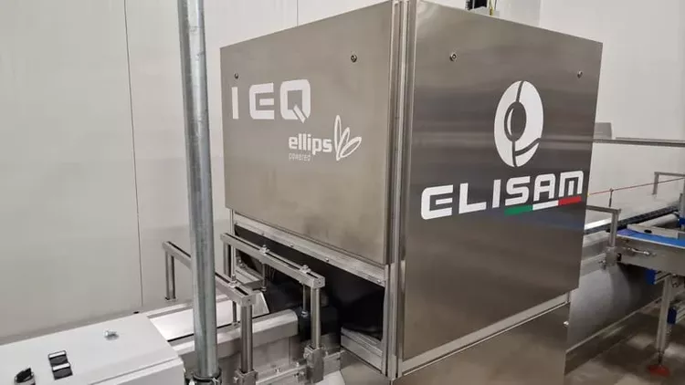 Elisam, Pear grading line