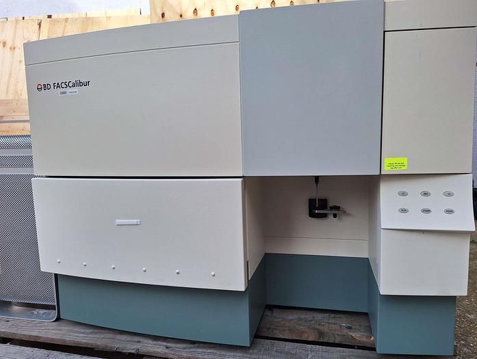 Becton Dickinson FACSCalibur Flow Cytometer
