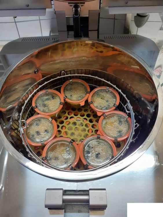 Selecta Sterilizer-Autoclave