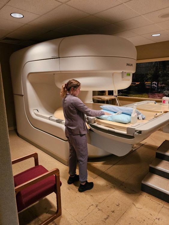 Philips Panorama 0.6T